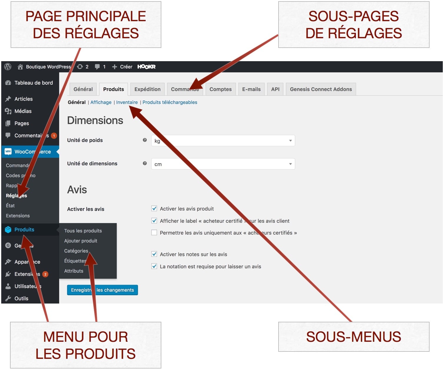 Comprendre l’interface globale de WooCommerce | grégoire noyelle