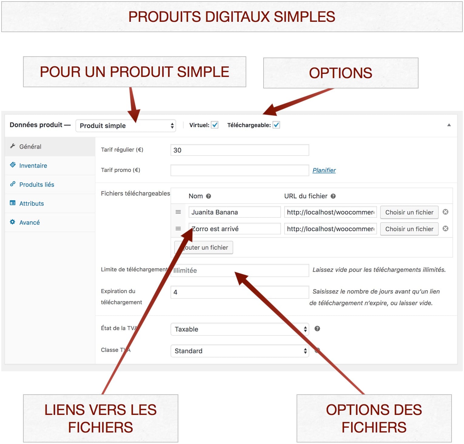 Créer des produits digitaux | grégoire noyelle